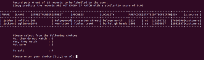 Zingg entity resolution documentation