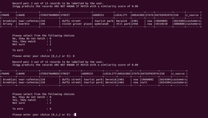 Zingg entity resolution documentation