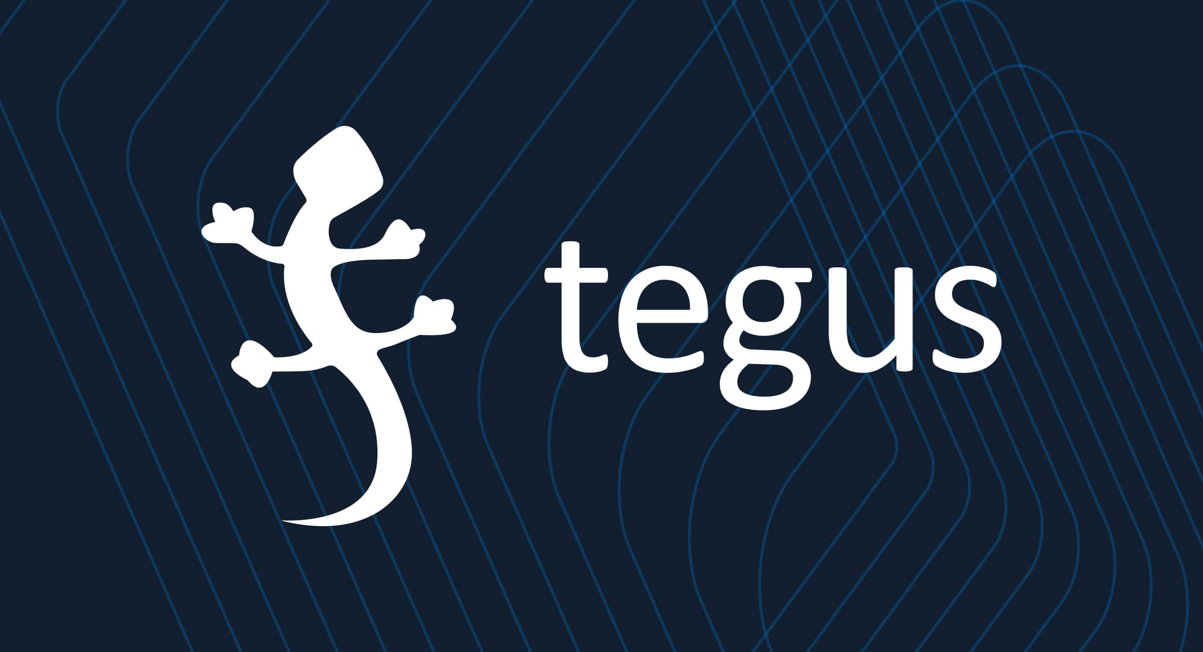 Tegus | Terms