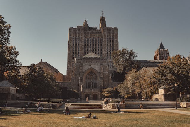 Best Law Schools In the US: 2024 Rankings + Comparison