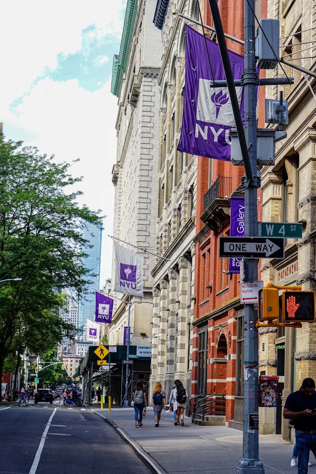 Best Law Schools In the US: 2024 Rankings + Comparison