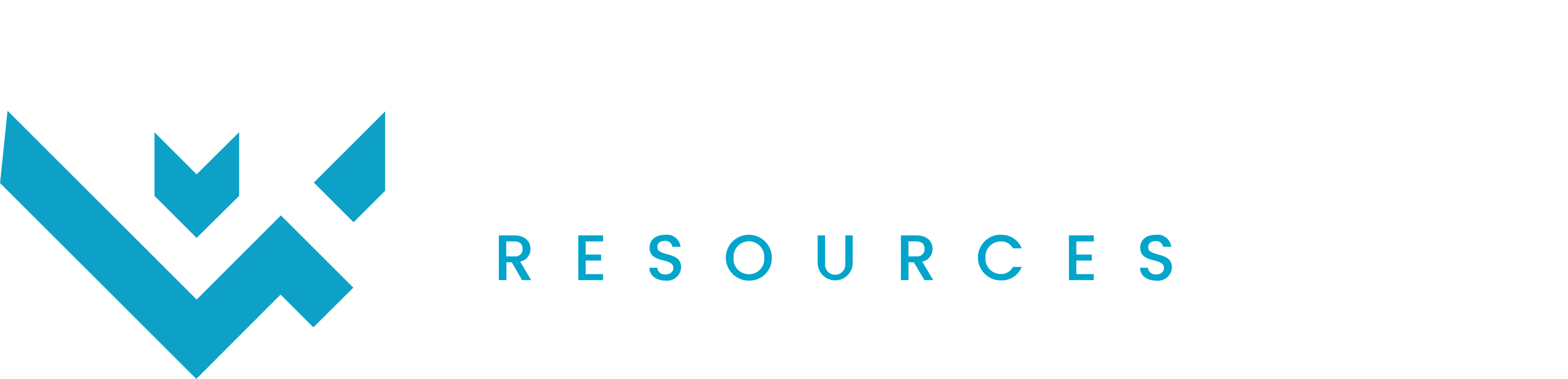 Quality Healthcare Resources- SNF Financial Services