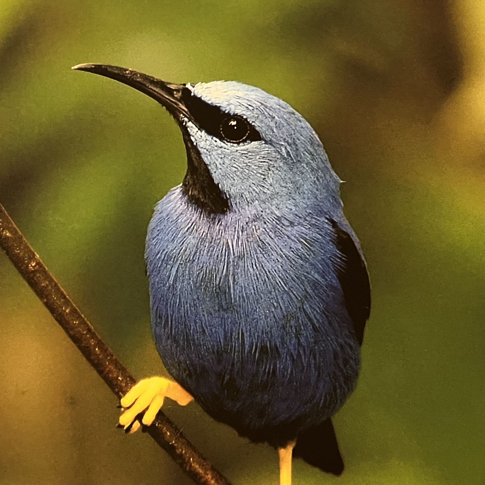 Dental Office Organization Ideas | How to Organize your Practice