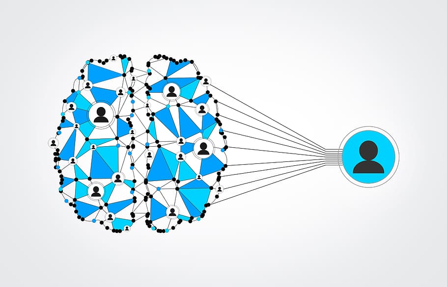 What's the difference between Categorical and Numerical Data? | thatDot