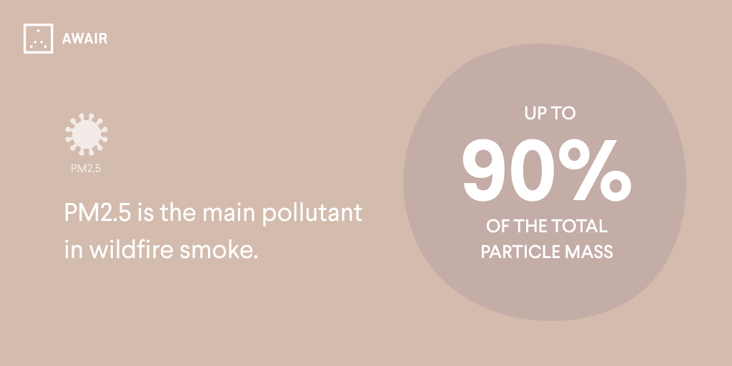 What We Measure: Particulate Matter (PM2.5)