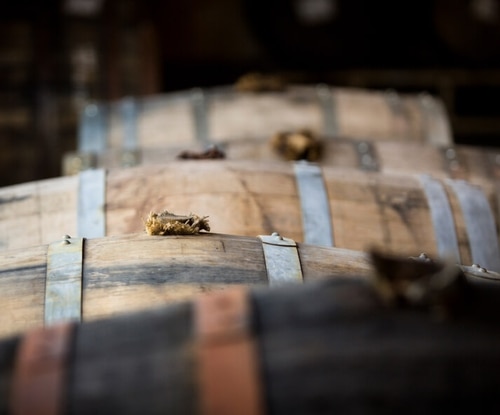 Our Pigs | WhistlePig Whiskey