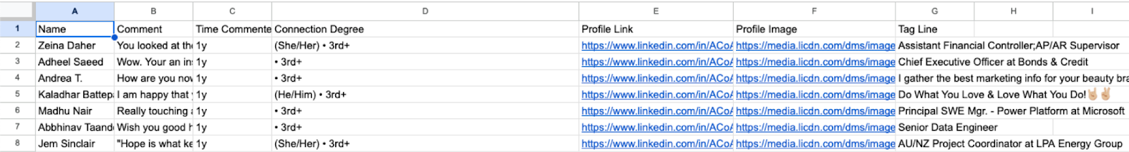 Copy LinkedIn Post commenters to Google Sheets