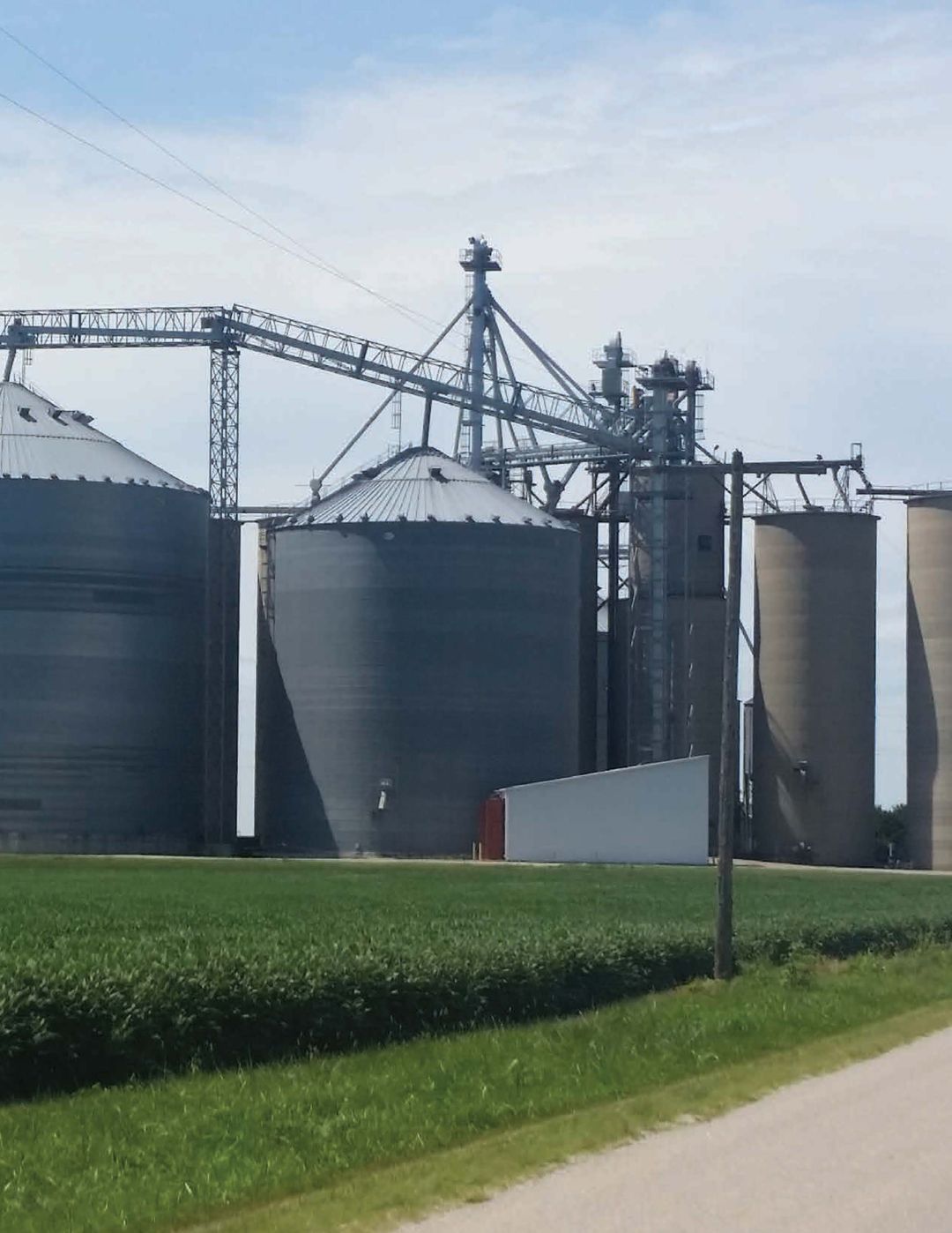 Continental Grain Conveyor Belts