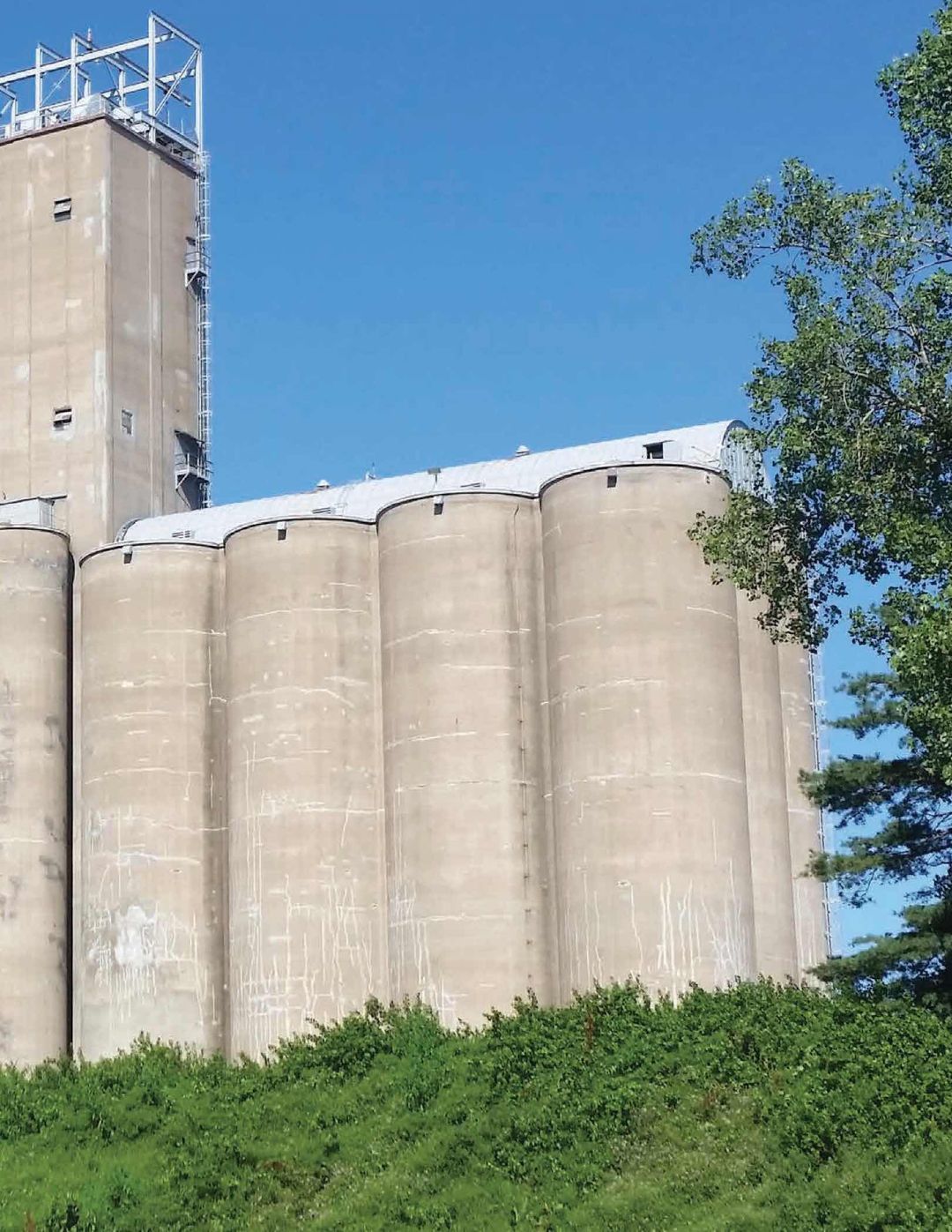 Continental Grain Conveyor Belts