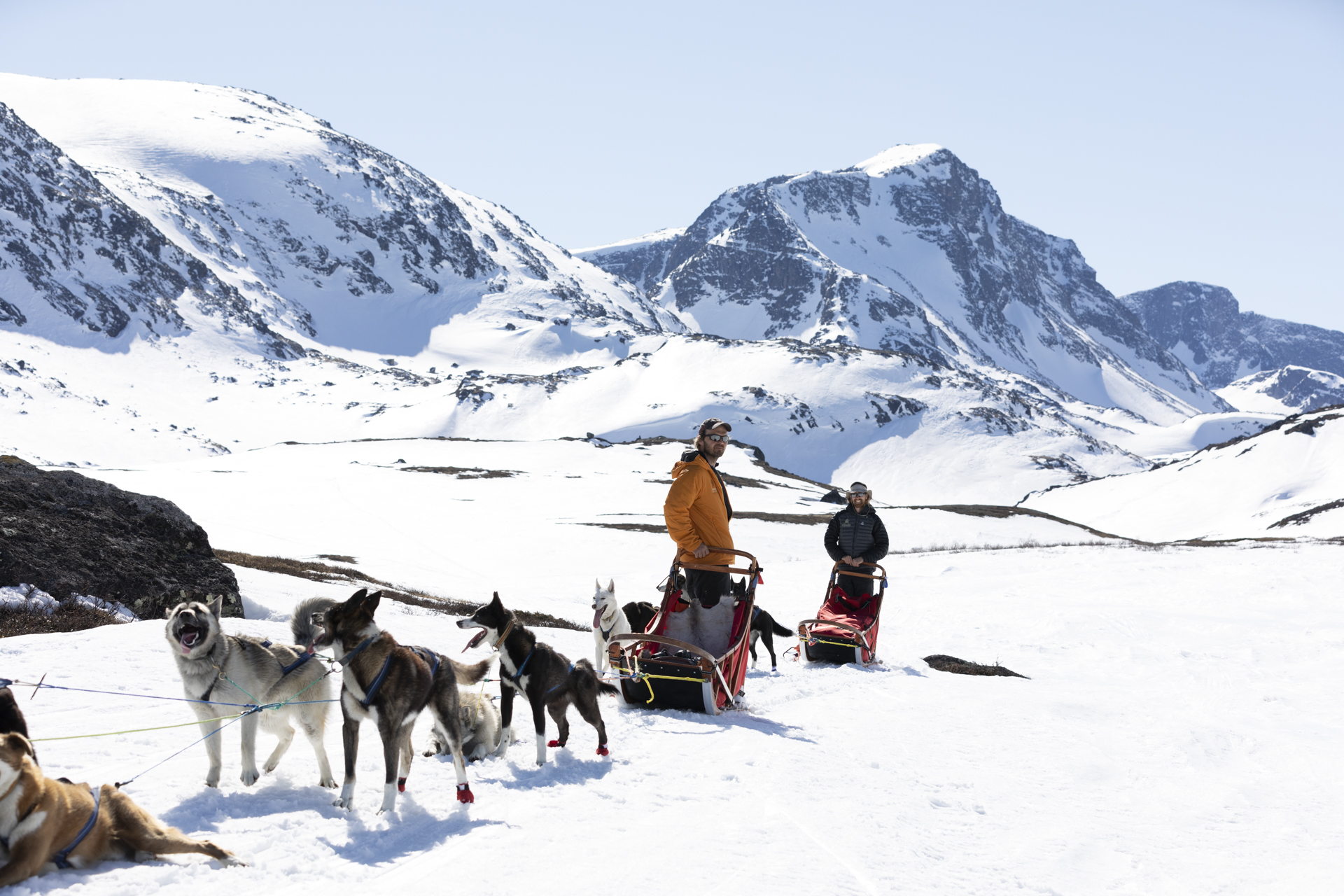 Dog sledding | Lemonsjøen