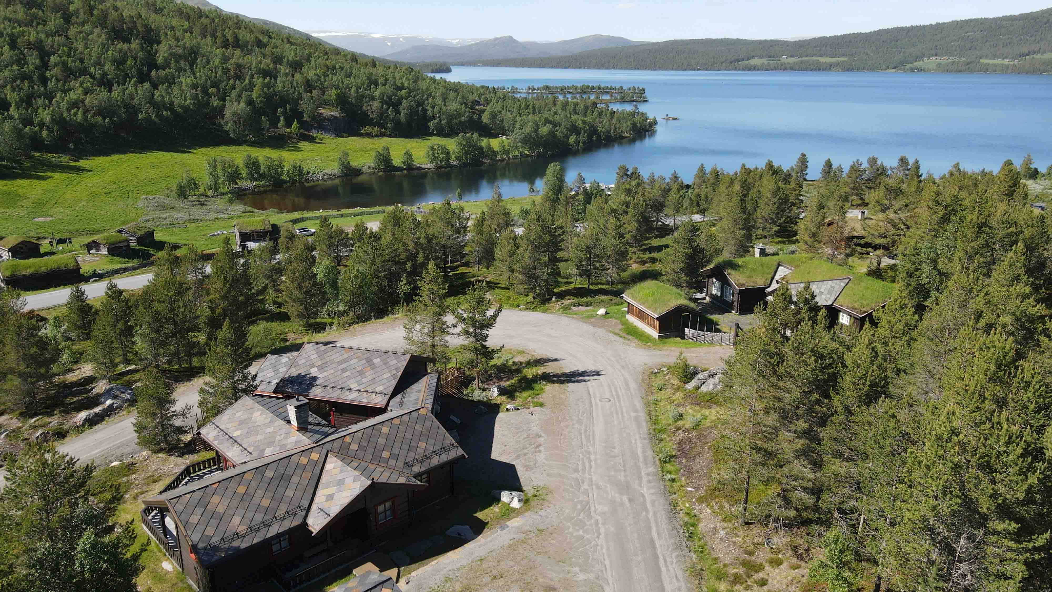 Vårt første nyhetsbrev! | Lemonsjøen