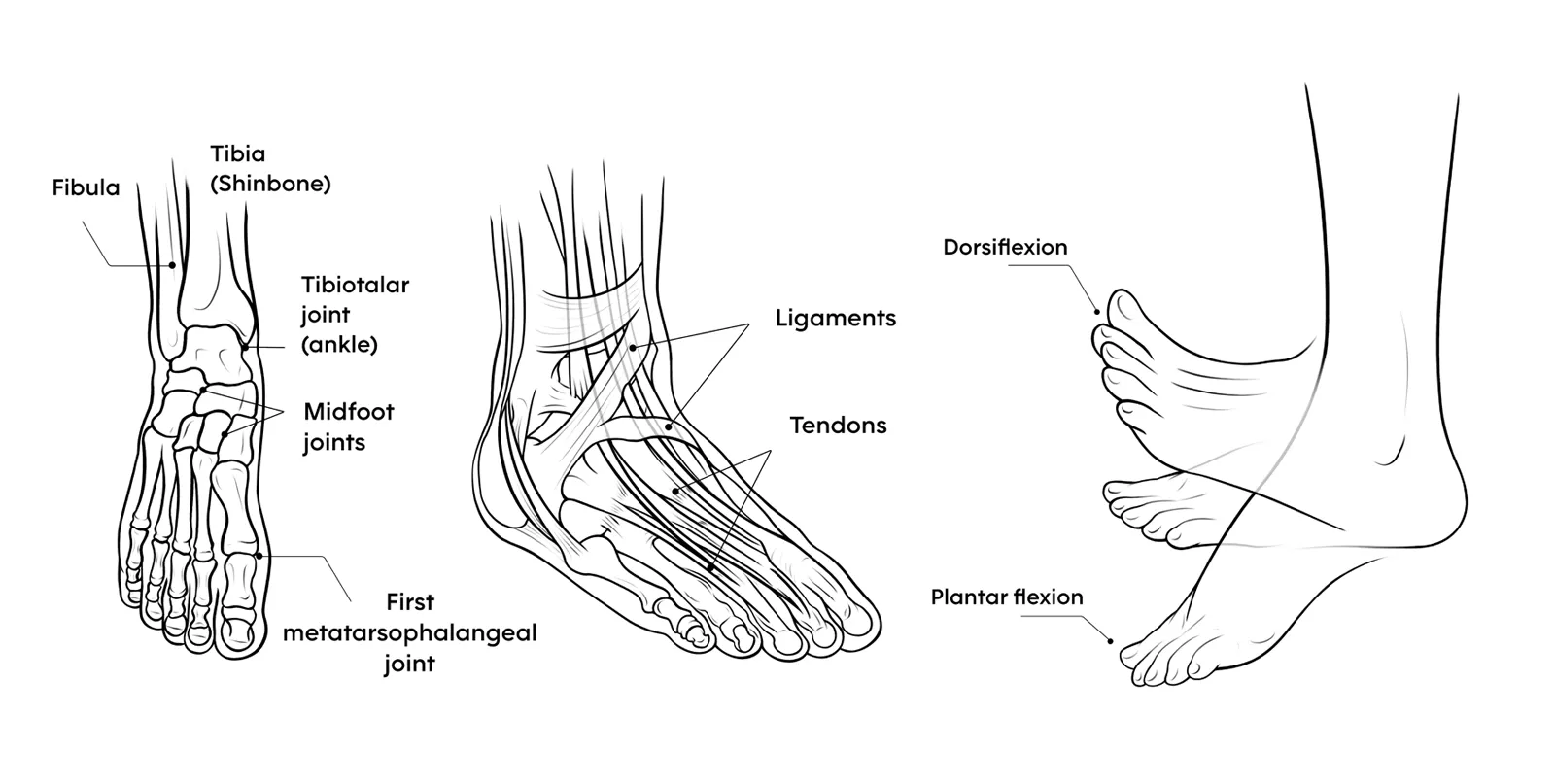 How to Improve Ankle Mobility