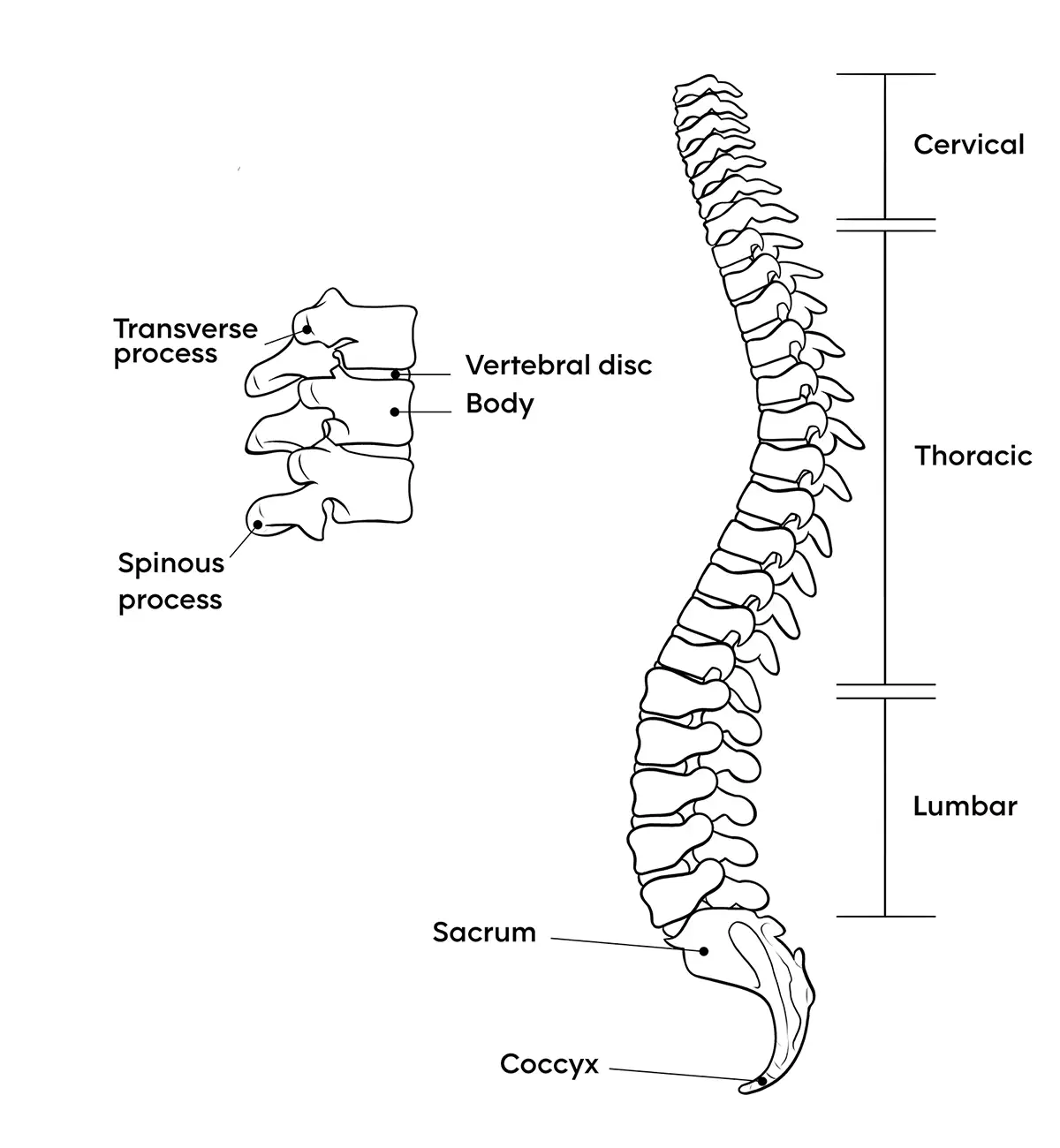 How to Improve Overhead Mobility