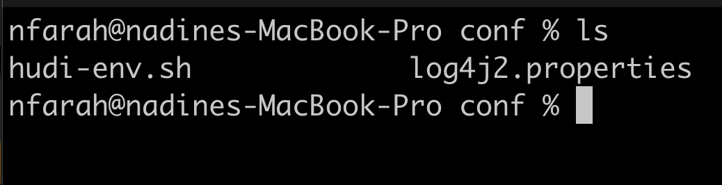Getting Started: Manage your Hudi tables with the admin Hudi-CLI tool