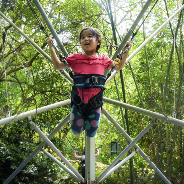 Gecko Tower | ESCAPE Penang