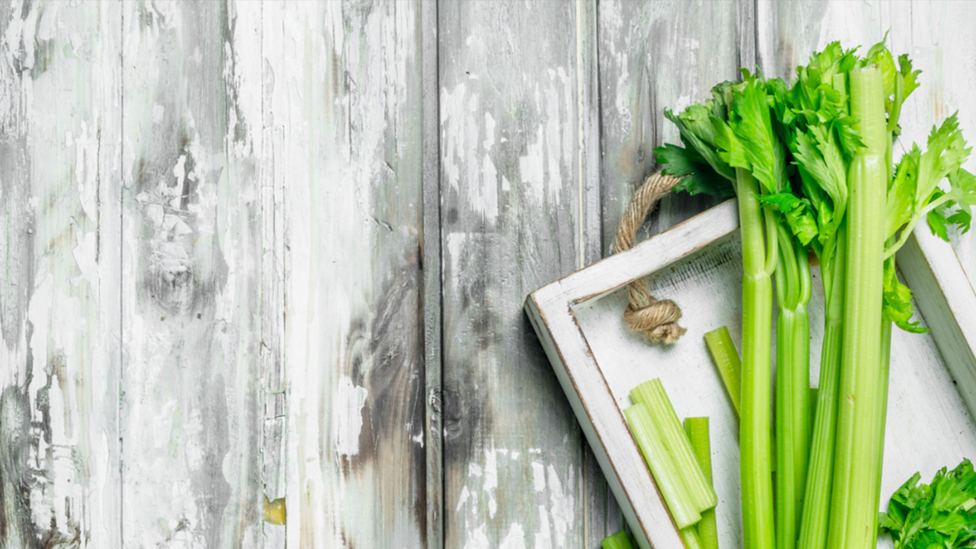 Staudensellerie: Anbau und Pflege