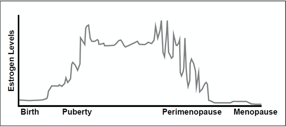 What Every Woman Needs To Know About Perimenopause | Midi