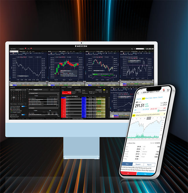 Client Portal | MEXEM