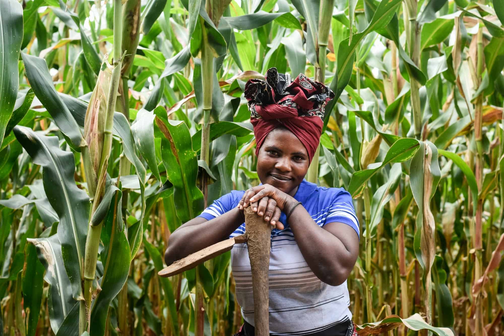 About | The Audacious Project