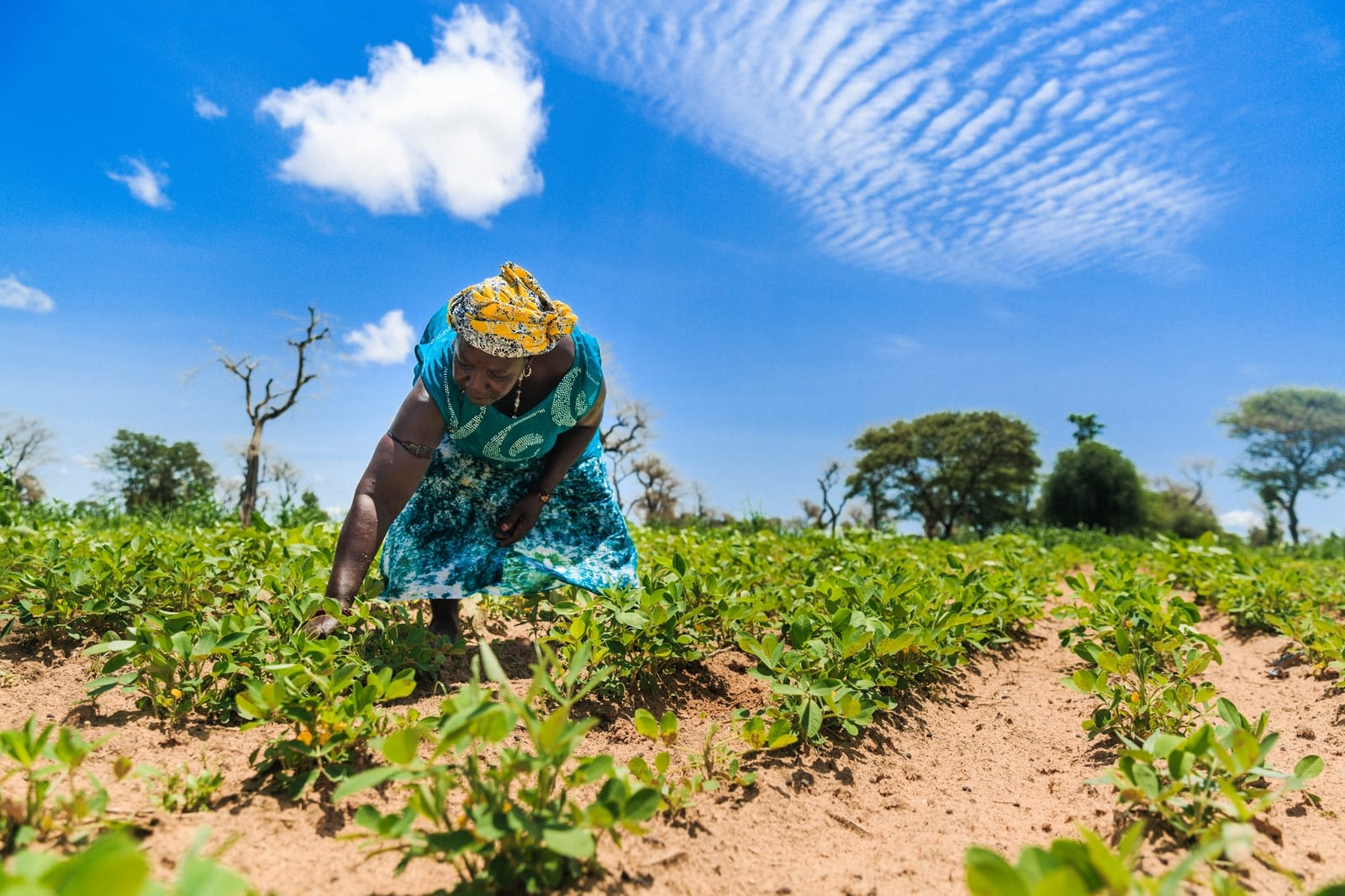 Grantees | The Audacious Project