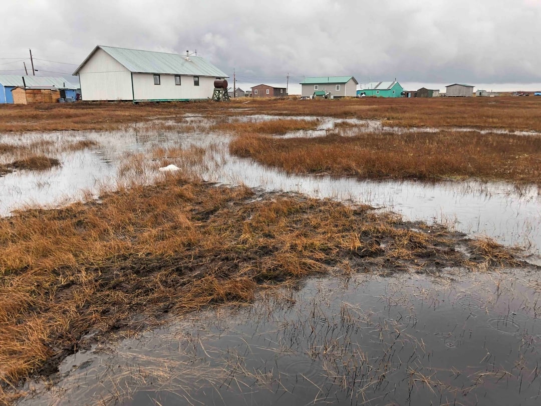 The Audacious Project