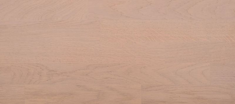 Salvi | Trapper | Trapperingen