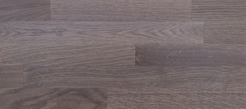 Salvi | Trapper | Trapperingen