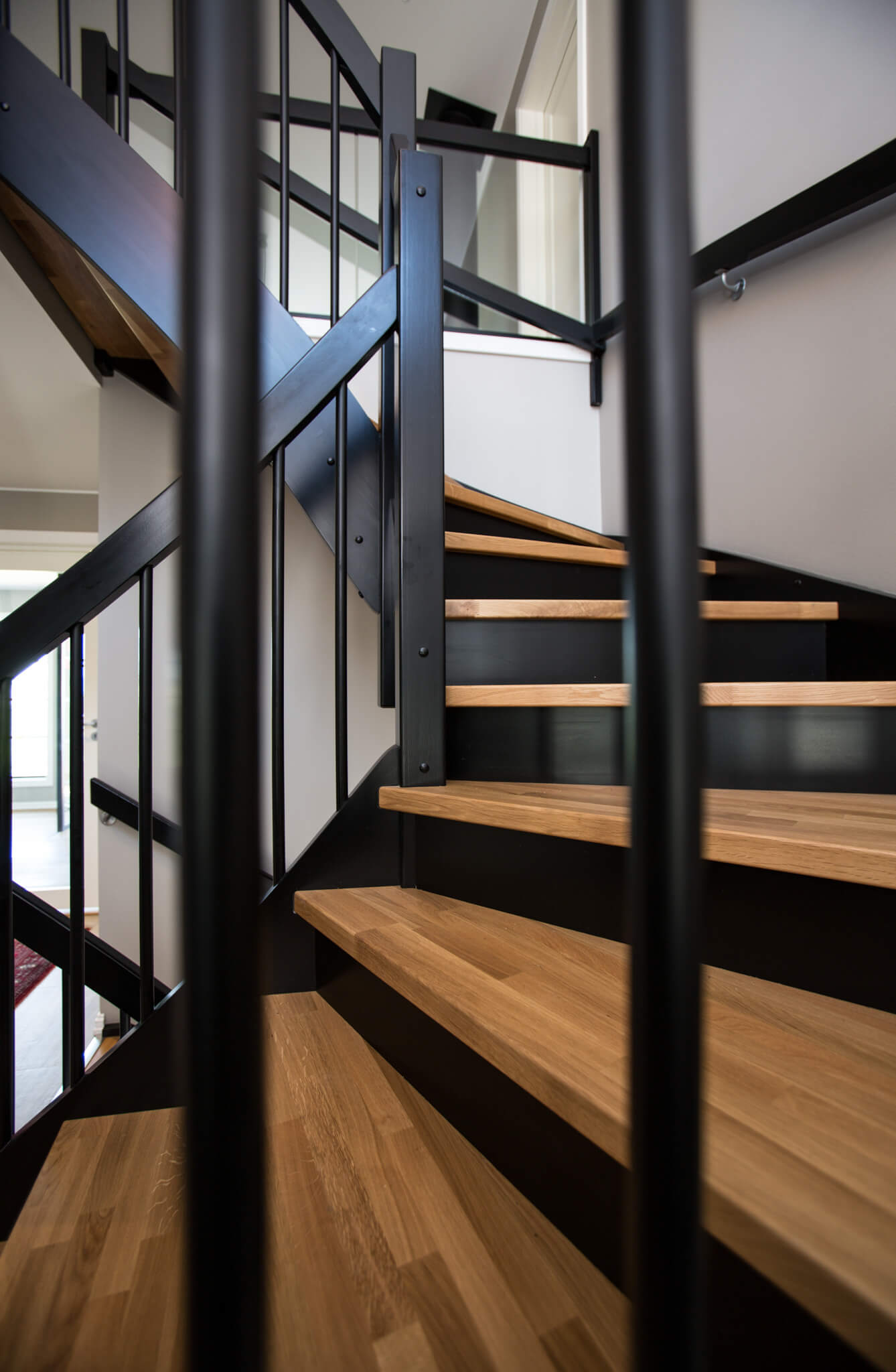 Salvi | Trapper | Trapperingen