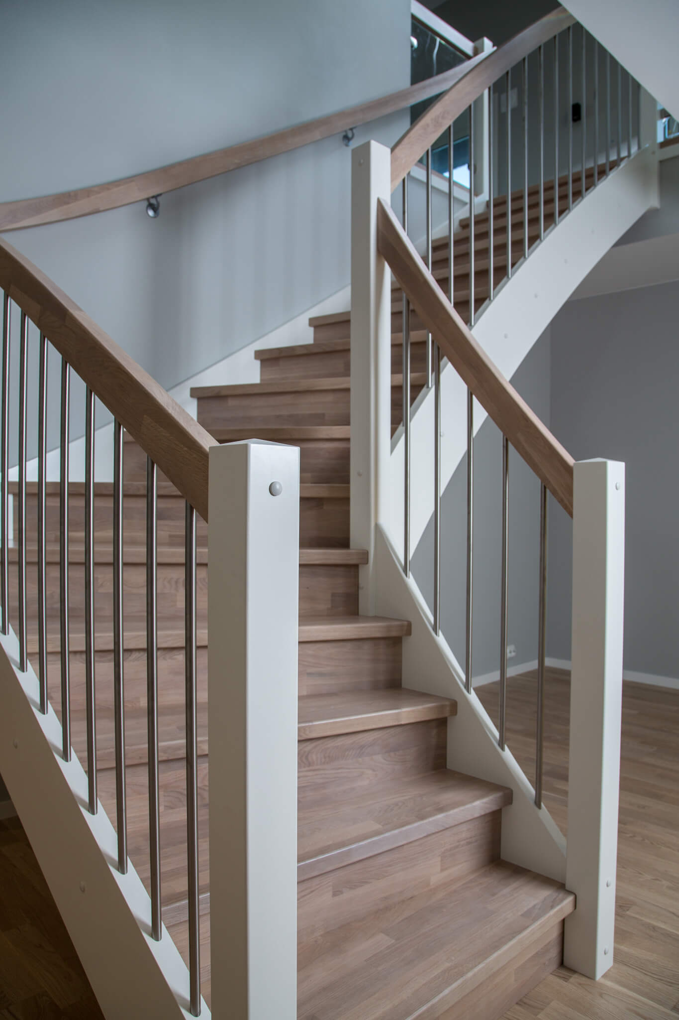 Fennikel | Trapper | Trapperingen