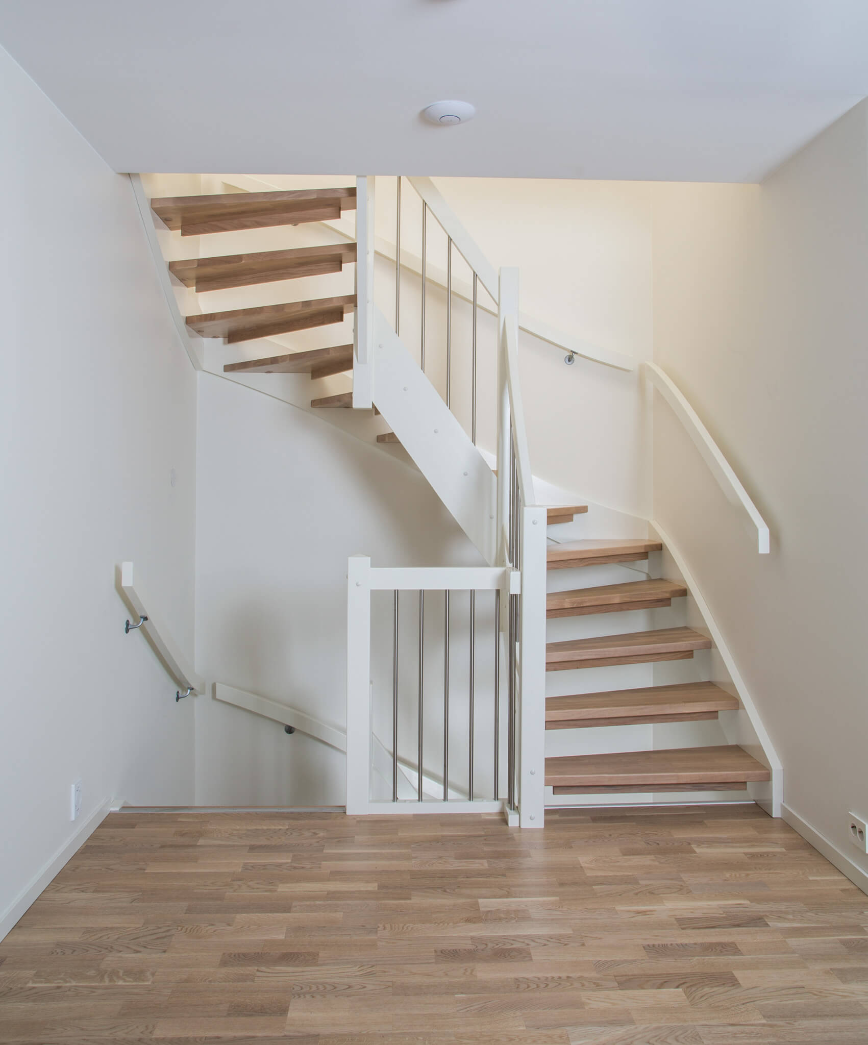 Fennikel | Trapper | Trapperingen