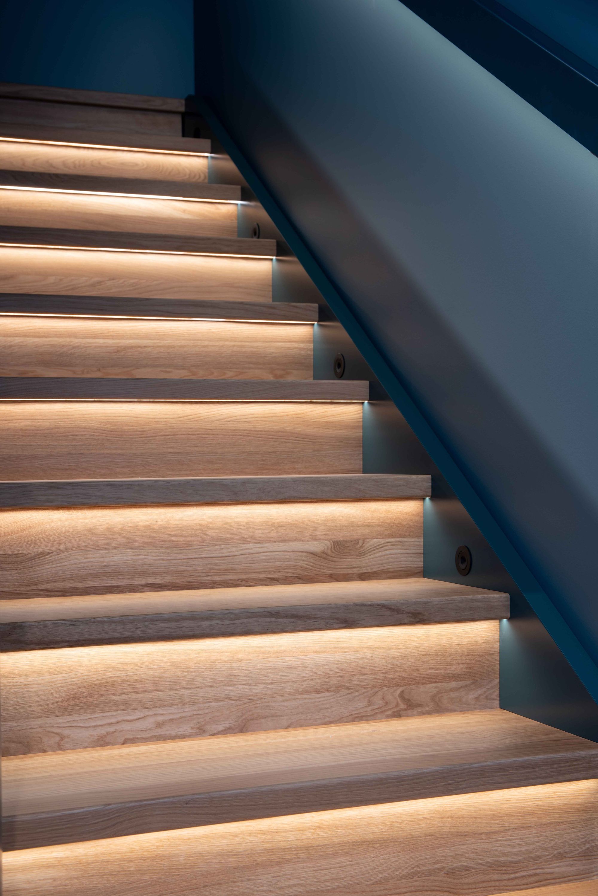 Tuva | Trapper | Trapperingen