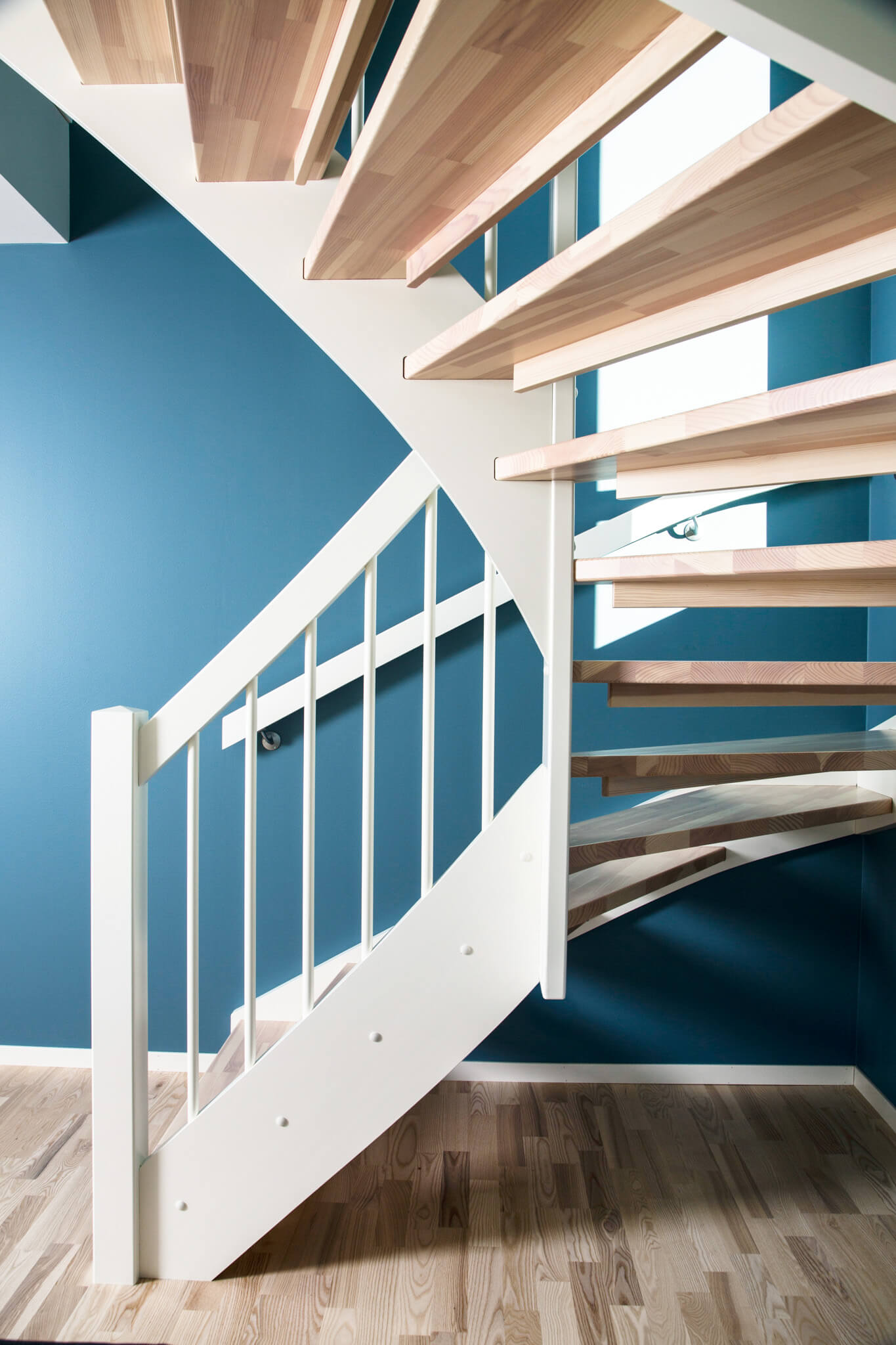 Salvi | Trapper | Trapperingen