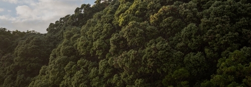 Holiday Home Management Services With Bachcare