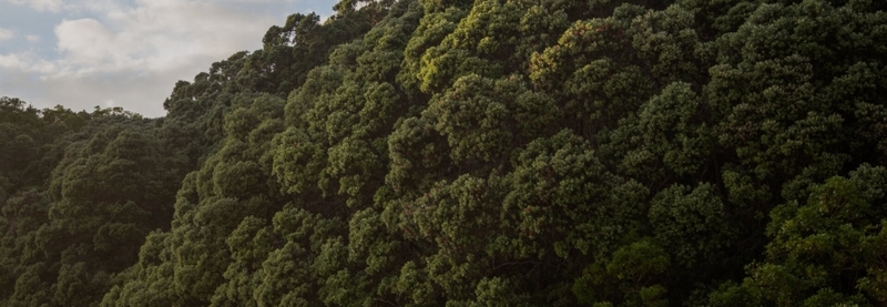 Holiday Home Management Services With Bachcare