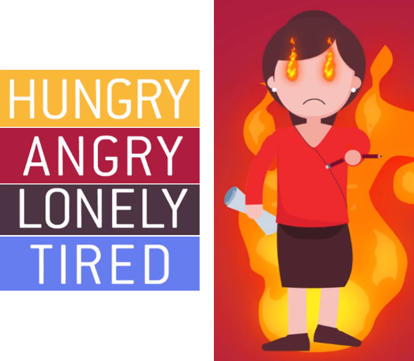 What is Decision Quality and How Do I Achieve It?