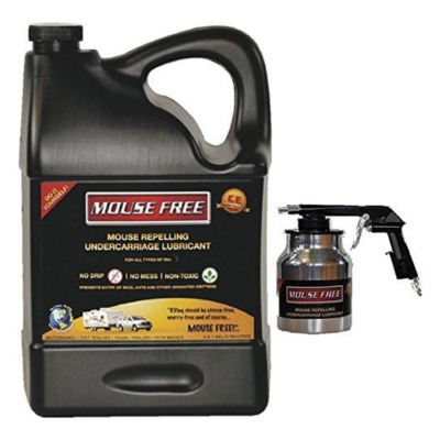 How To Mouse Proof A Camper | RV Rank