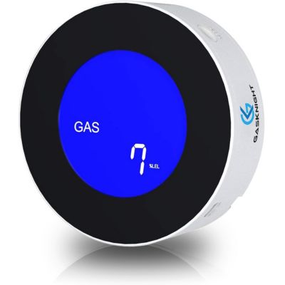 Tiny Yet Mighty: Why This Gas Detector Could Be Your RV's Most ...