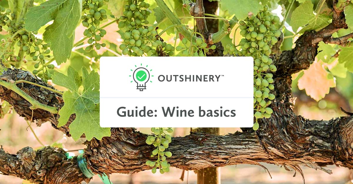 Wine terms decoded | Outshinery