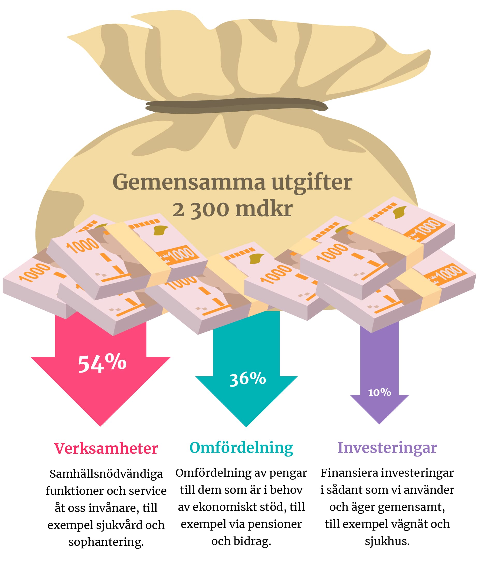 Vad går skattepengarna till?