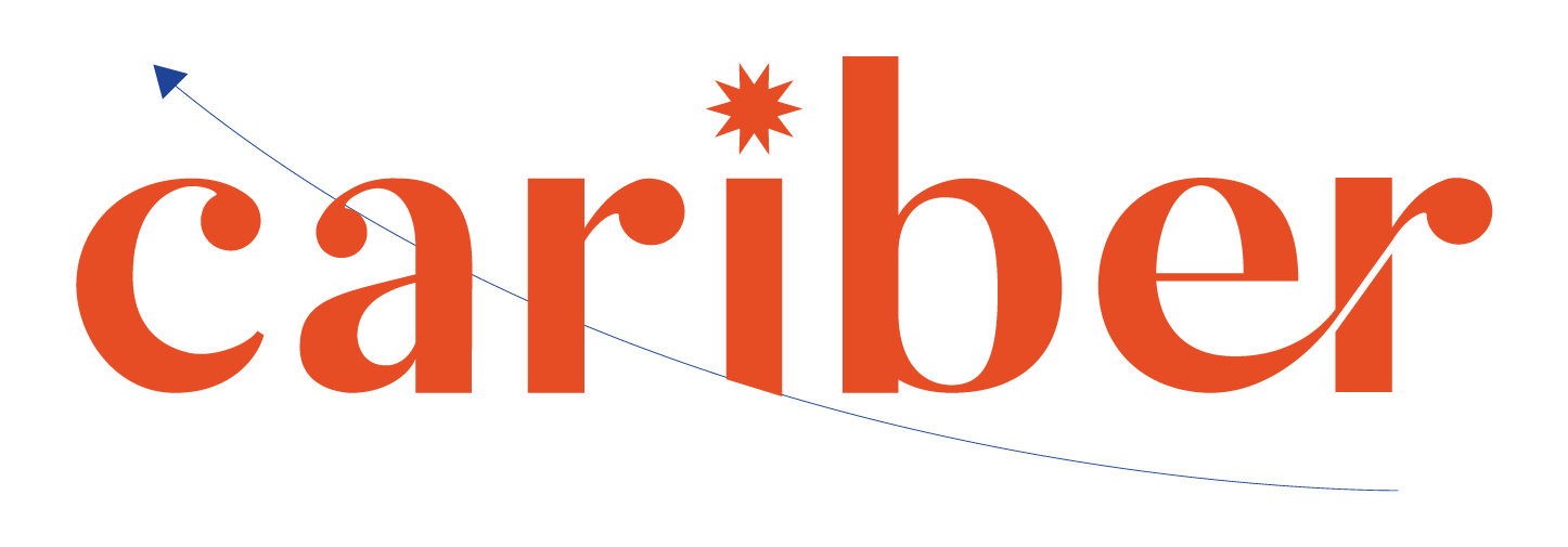 Cariber | Coaching for Business Leader