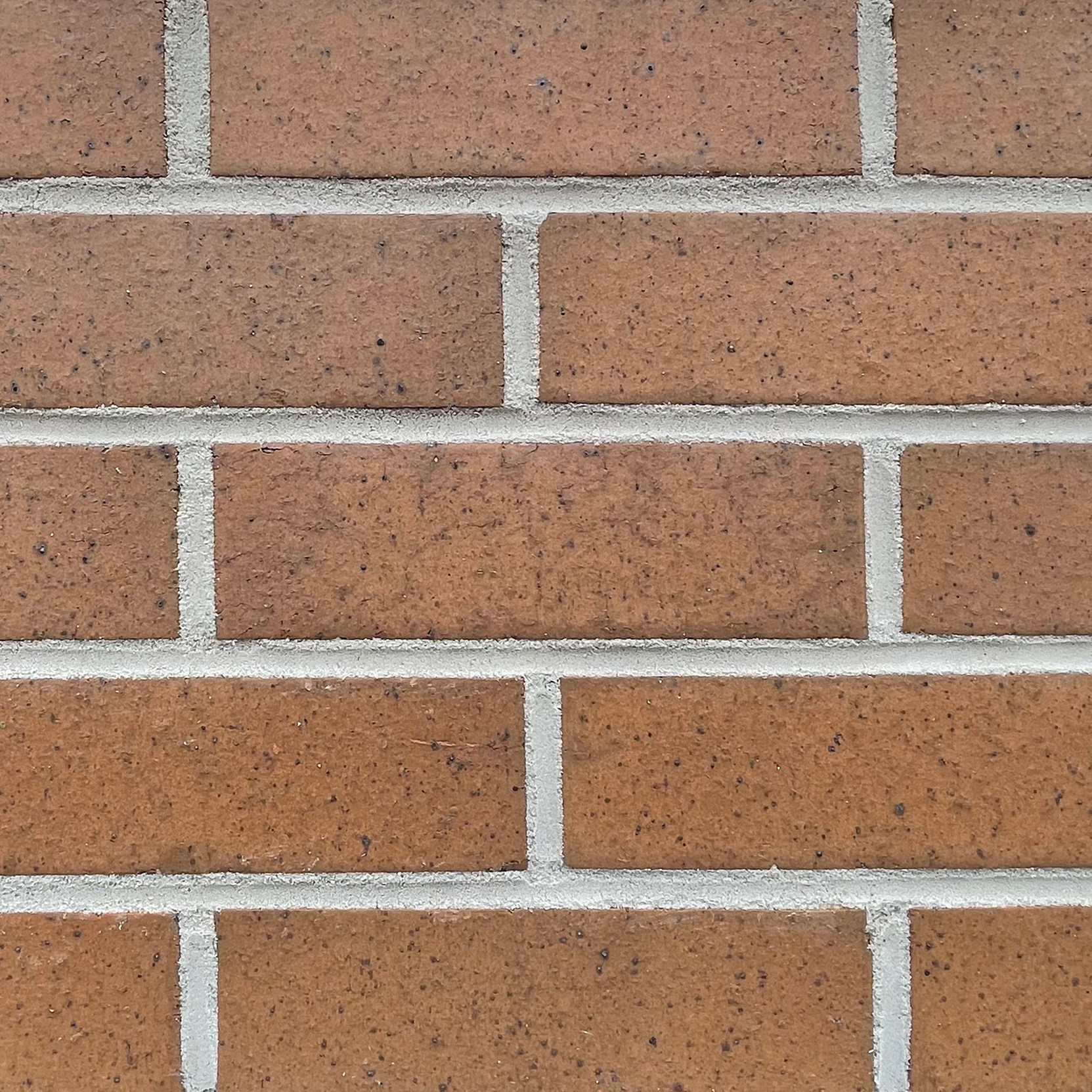 Yankee Hill Brick | Products | Face Brick - Modular (Standard)