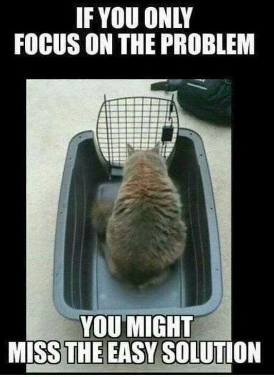 The 24 Best Focus Memes