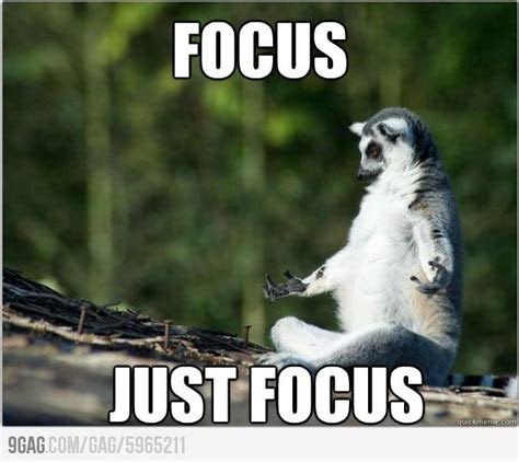 The 24 Best Focus Memes