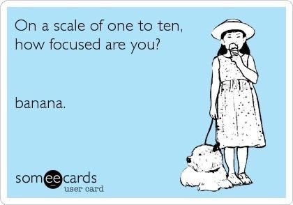 The 24 Best Focus Memes