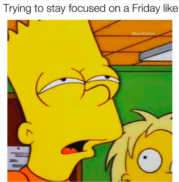 The 24 Best Focus Memes