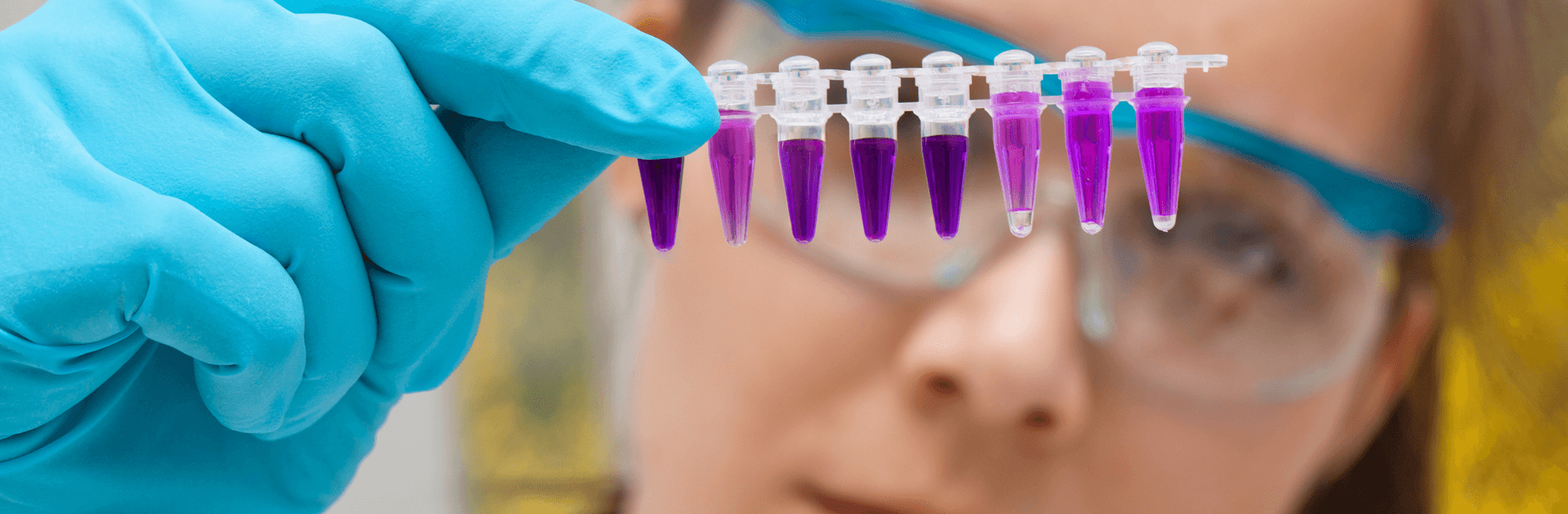 Guusto | Sunquest case study