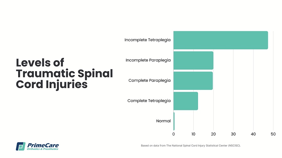 Lesión medular: Síntomas, causas, riesgos | PrimeCare Orthotics ...
