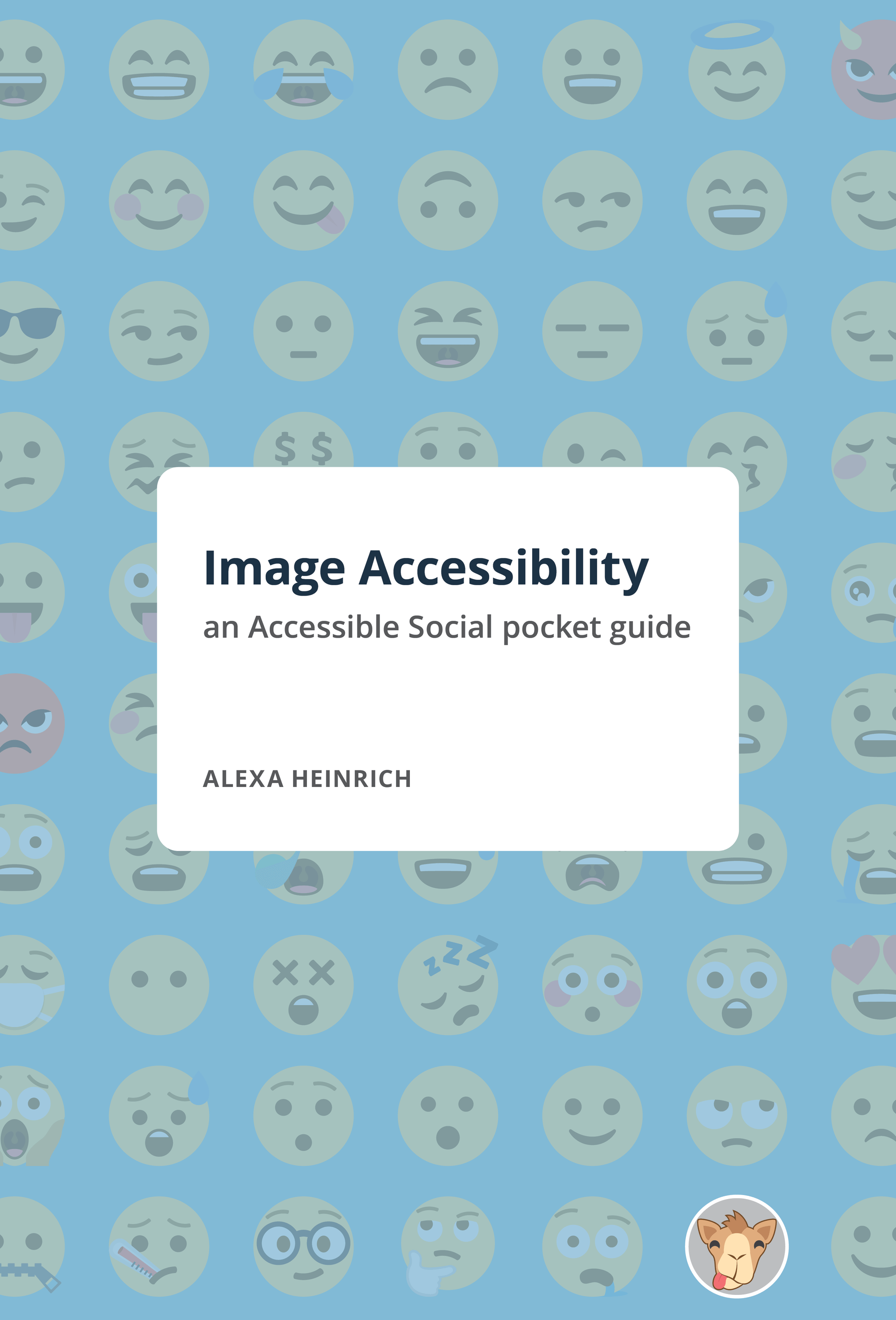 Accessible Social Guidebooks