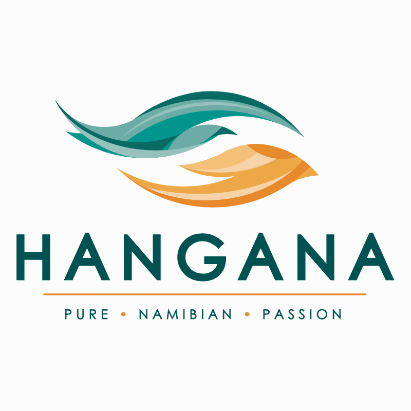 About Hangana