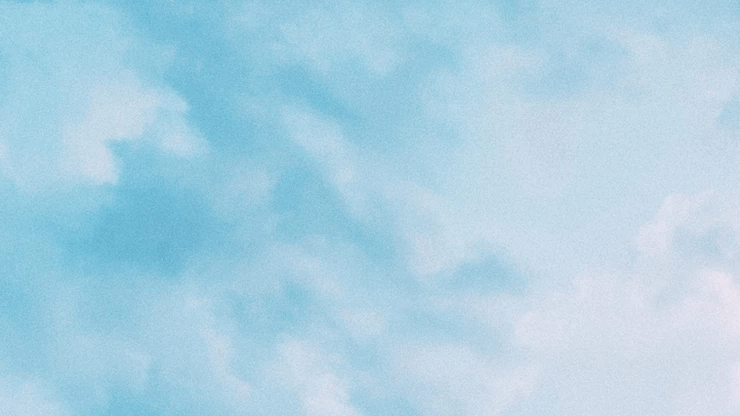 RADIANT RAVEN | Studio Linear Portfolio